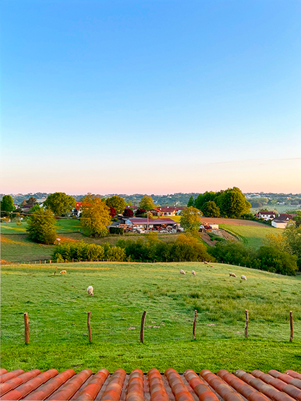A propos de Angel Raynard | Angel O Naturel